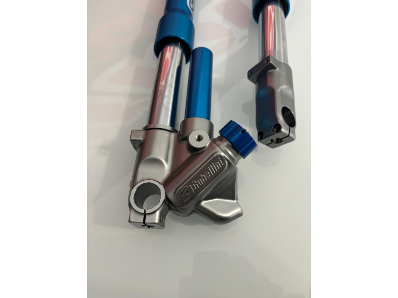 FORCELLE GUBELLINI FFX06